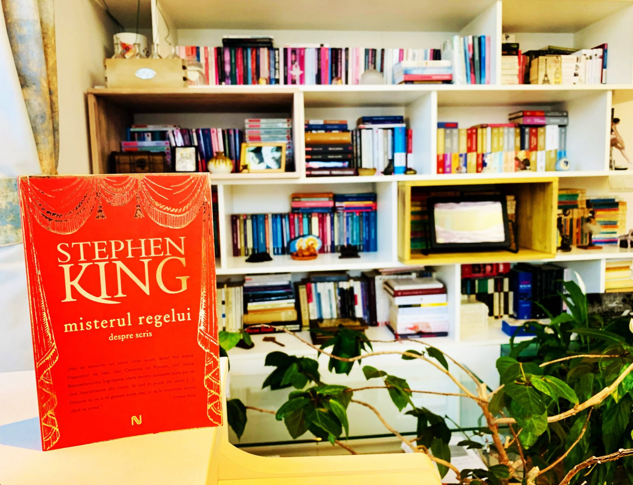 Gabriel Garcia Marquez, Stephen King si Elif Shafak: cele mai asteptate ...
